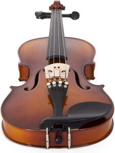 Best 5 Large & Giant Violins You Can Play On 2022 Reviews