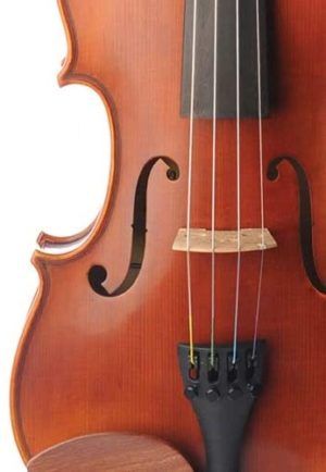 Best 5 Modern Violins On The Market For You In 2020 Reviews